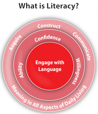 Literacy and Numeracy Programming - Alberta Regional Professional ...
